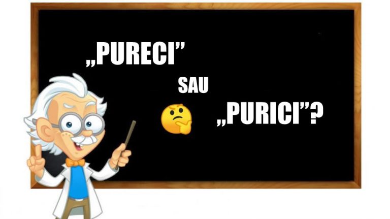 „Pureci” sau „purici”? - Cosmin Șontică
