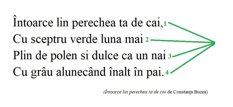 Elemente de versificație. Rima, ritmul și măsura unei poezii - Cosmin ...